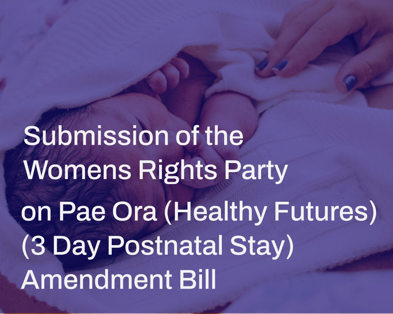 Submission on the Pae Ora (Healthy Futures) (3 Day Postnatal Stay ...